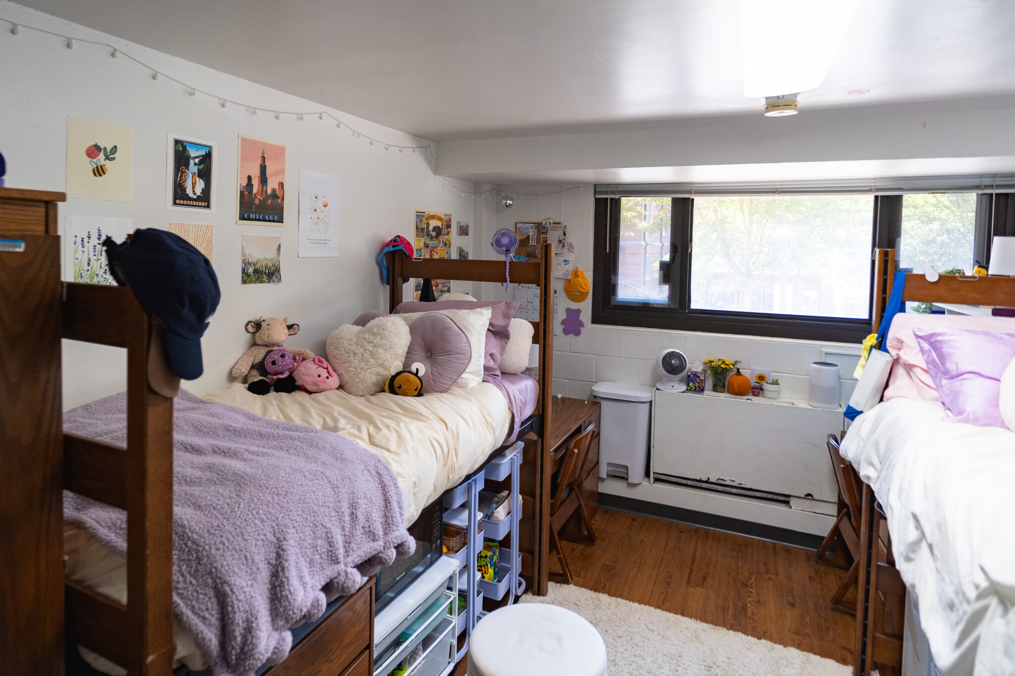 Room & Furniture Info - Georgia Tech: Student Housing